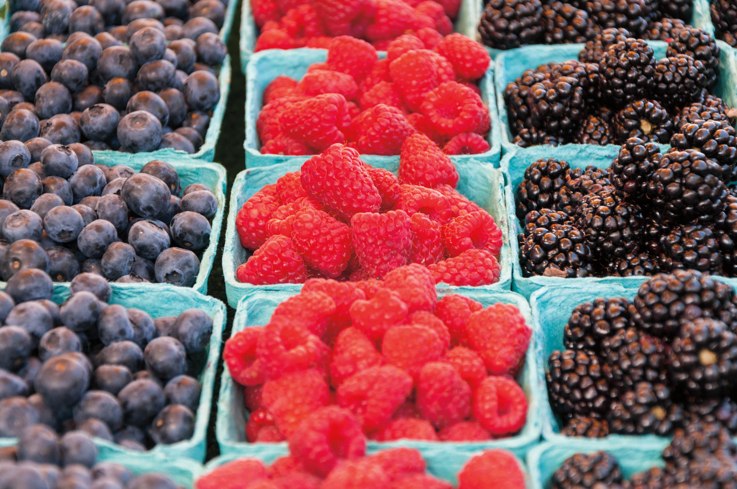 Bountiful Berries | Bellingham Alive