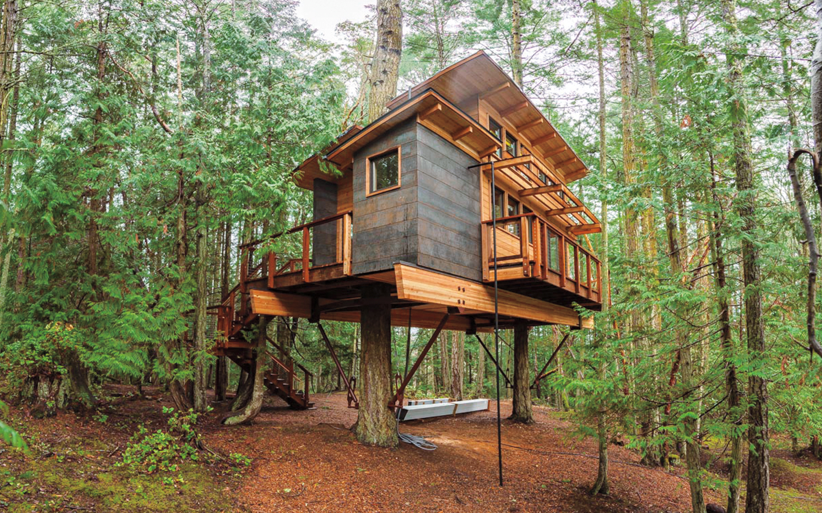 A Family Getaway in the Trees | Bellingham Alive