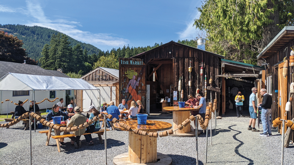 Buck Bay Shellfish Farm | Bellingham Alive