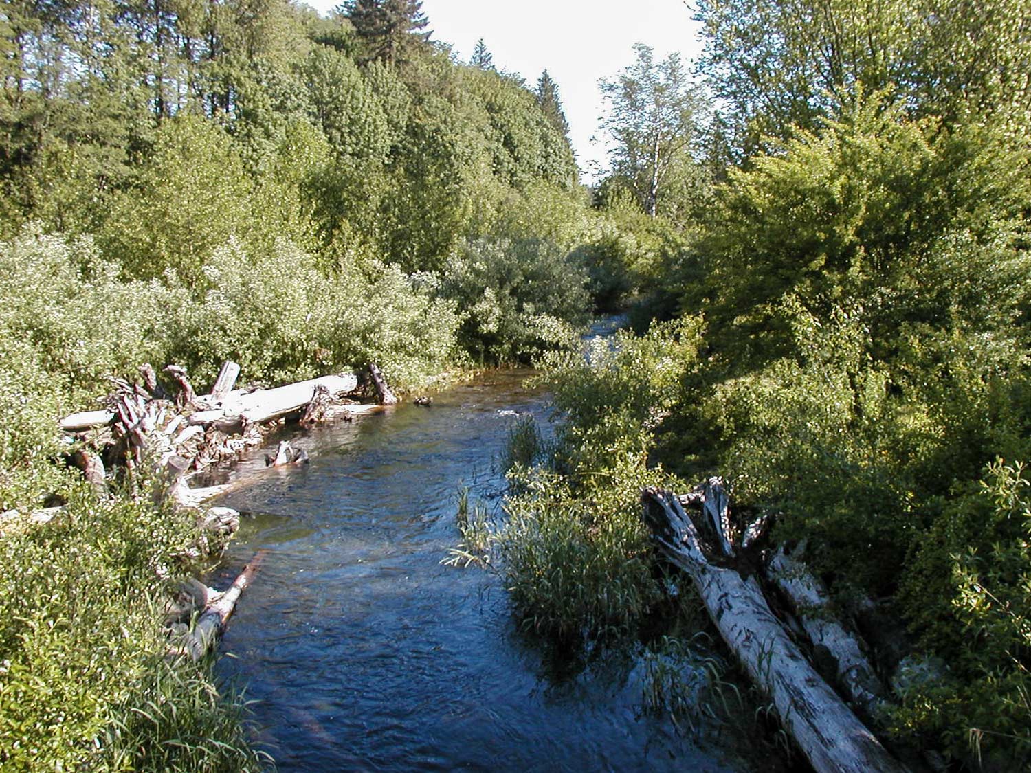 Aug25_Life_GameChanger_Kendall-Creek-6-years-post-in-stream-work-CO ...