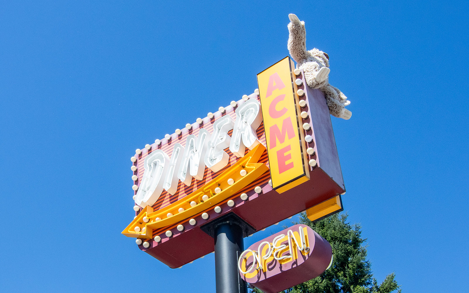 Farm-Fresh Classic American Eats! | Acme Diner | Bellingham Alive